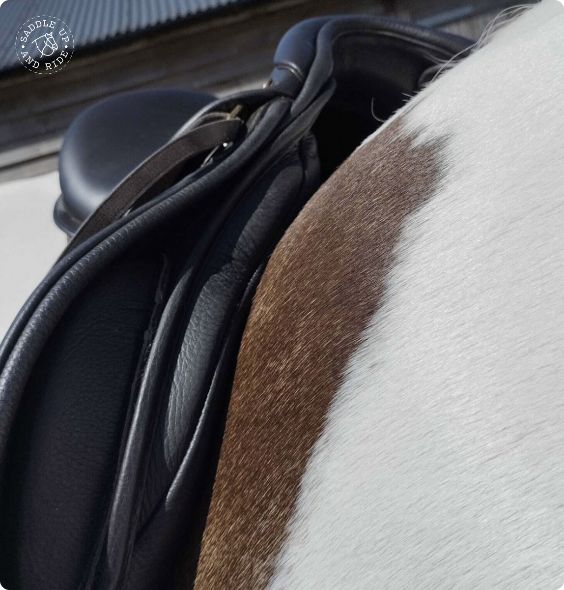 Get Your Saddle Checked Today 💪 – Saddle Up & Ride