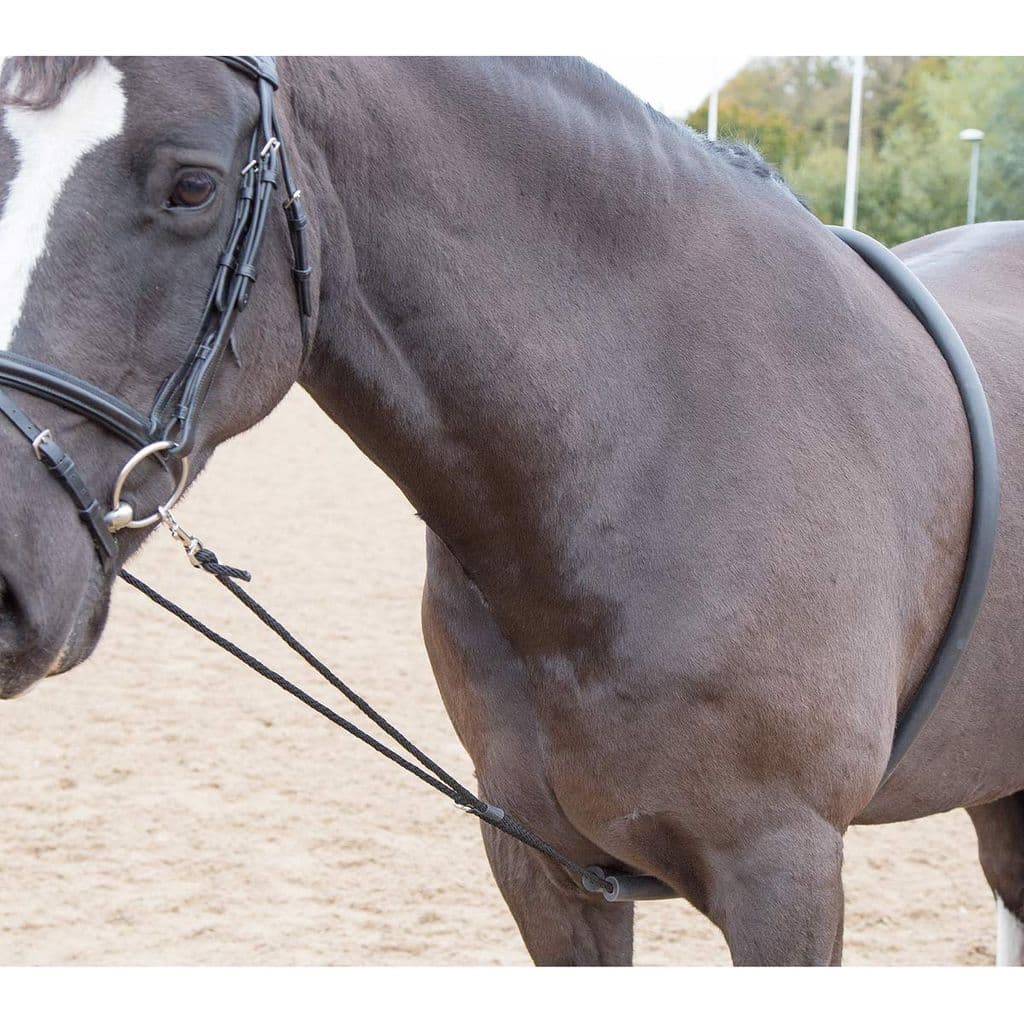 Shires Soft Lunging Aid – Saddle Up & Ride